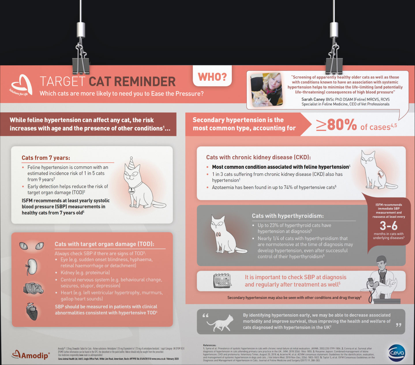 Cat poster design - Freelance Graphic Designer Leicester Website ...